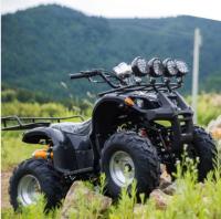 China 250cc Adult ATV with Driving Type 2WD 4-Stroke Single Cylinder Air-Cooled Quad ATV for sale