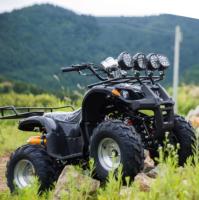 China 250cc Adult ATV with Driving Type 2WD 4-Stroke Single Cylinder Air-Cooled Quad ATV for sale