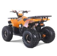 China 240kg MAX LOAD Single Cylinder Chain Transmission ATV for Adult Off-Road Adventures for sale