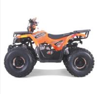 China 240kg MAX LOAD Single Cylinder Chain Transmission ATV for Adult Off-Road Adventures for sale