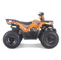 China 240kg MAX LOAD Single Cylinder Chain Transmission ATV for Adult Off-Road Adventures for sale