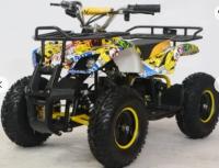 China Off-Road Enthusiasts 500-800W Electric Start 4-Stroke Single Cylinder Air-Cooled ATV for sale