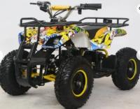 China Off-Road Enthusiasts 500-800W Electric Start 4-Stroke Single Cylinder Air-Cooled ATV for sale
