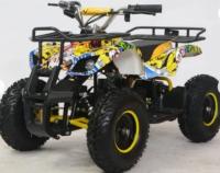 China Off-Road Enthusiasts 500-800W Electric Start 4-Stroke Single Cylinder Air-Cooled ATV for sale