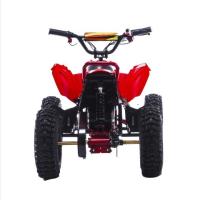 China 49cc 4-Wheel Hand-Pull Plastic Mini ATV Off-Road Motorcycle for Kids Grade Ability 15-20° for sale