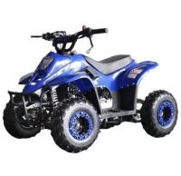 China Max Speed 40km/h 49cc 4-Wheel Hand-Pull Plastic Mini ATV Off-Road Motorcycles for Kids for sale