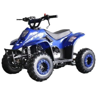 China Max Speed 40km/h 49cc 4-Wheel Hand-Pull Plastic Mini ATV Off-Road Motorcycles for Kids for sale