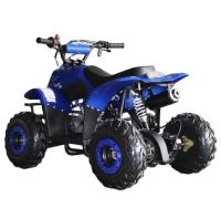 China Max Speed 40km/h 49cc 4-Wheel Hand-Pull Plastic Mini ATV Off-Road Motorcycles for Kids for sale