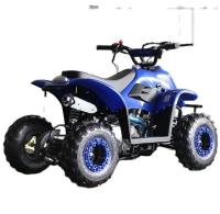 China Max Speed 40km/h 49cc 4-Wheel Hand-Pull Plastic Mini ATV Off-Road Motorcycles for Kids for sale