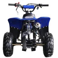 China Max Speed 40km/h 49cc 4-Wheel Hand-Pull Plastic Mini ATV Off-Road Motorcycles for Kids for sale