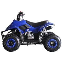 China Max Speed 40km/h 49cc 4-Wheel Hand-Pull Plastic Mini ATV Off-Road Motorcycles for Kids for sale