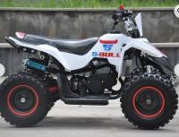 China Front and Rear Disc Brake 49cc 4-Wheel Hand-Pull Plastic Mini ATV for Kids' Playtime for sale