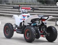 China Front and Rear Disc Brake 49cc 4-Wheel Hand-Pull Plastic Mini ATV for Kids' Playtime for sale