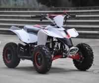 China Front and Rear Disc Brake 49cc 4-Wheel Hand-Pull Plastic Mini ATV for Kids' Playtime for sale