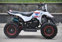 China Front and Rear Disc Brake 49cc 4-Wheel Hand-Pull Plastic Mini ATV for Kids' Playtime for sale