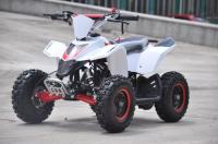 China Front and Rear Disc Brake 49cc 4-Wheel Hand-Pull Plastic Mini ATV for Kids' Playtime for sale