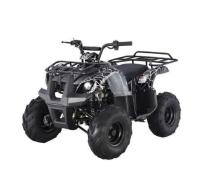 China 49cc 4-Wheel Hand-Pull Plastic Mini ATV Off-Road Motorcycles Designed for Young Riders for sale
