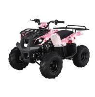 China 49cc 4-Wheel Hand-Pull Plastic Mini ATV Off-Road Motorcycles Designed for Young Riders for sale