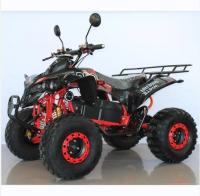 China 2WD Child ATV 49cc 4-Wheel Hand-Pull Plastic Mini Off-Road Motorcycles Designed for Kids for sale