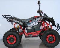 China 2WD Child ATV 49cc 4-Wheel Hand-Pull Plastic Mini Off-Road Motorcycles Designed for Kids for sale