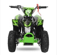 China 10-20L Fuel Tank Capacity 49cc 4-Wheel Hand-Pull Plastic Mini ATV Designed for Kids for sale