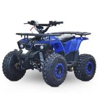 China 2-Stroke Engine Type 49cc 4-Wheel Hand-Pull Plastic Mini ATV Off-Road Motorcycle for Kids for sale
