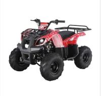 China 15-20° Grade Ability 49cc 4-Wheel Hand-Pull Plastic Mini ATV Off-Road Motorcycles for Kids for sale