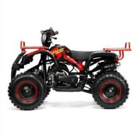 China Tao Motor Bull 50 CE 2 Stroke 50cc Mini Moto Quad Bike with 10-20L Fuel Tank Capacity for sale