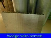 China Wedge Wire Continuous Slot Panel for Mining and Industrial Filtration for sale