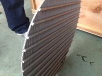 China Wedge Wire Screen Panel 1.0mm Slot Stainless Steel V-Wire Filter Plate for Water Well for sale