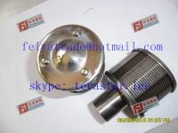 China Stainless Steel Wedge Wire Filter Nozzle DN45-108 Johnson Screen Water Gas Strainer for Power Plant for sale