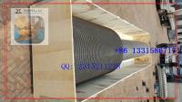 China Wedge Wire Arc Sieve Panel Continuous Slot Screen for Mining and Brewery for sale