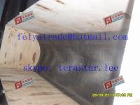 China Wedge Wire Arc Sieve Panel Continuous Slot Screen for Mining and Brewery for sale