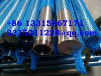 China STAINLESS STEEL FILTER CANDLE / LATERAL SCREENS for sale