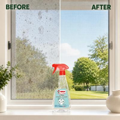 China Window Screen Cleaner Door Screen Cleaner Mesh Cleaning Spray For Dust Oil Stain Removal for sale