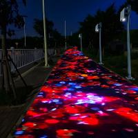China Amusement Park 3D Holographic Laser Floor Projector for sale