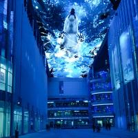 China 10000 Lumen Night Sky Projection Immersive Projector For Business Street for sale
