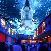 China Northern Lights Holographic Projection Sky Screen Immersive Projector For Museum for sale