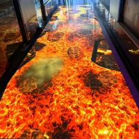 China Factory Price Infrared Sensor Motion Capture Interactive Floor Projector for sale