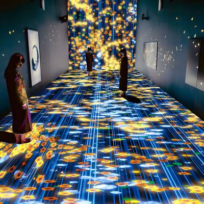 China Immersive Holographic Restaurant Immersive Holographic Projector Wedding Hall Projection for sale