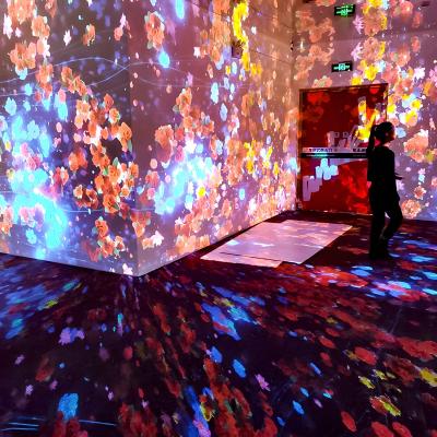 China Projection Screen System Holographic Immersive Dynamic Digital Art for sale