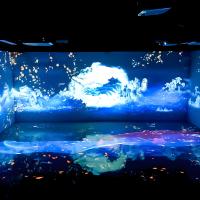 China 3d Immersive Projection Advanced Immersive Projection Augmented Reality Mapping for sale