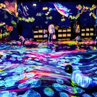 China 3d Holographic Interactive Wall Projection Software Immersive Room Experience for sale