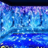 China Romantic Room Decorations Support Custom Immersive Projection for sale