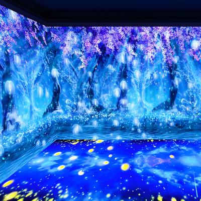 China Romantic Room Decorations Support Custom Immersive Projection for sale