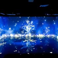 China Room Decorations Digital Art Museum Exhibition 3d Immersive Mapping Projector for sale