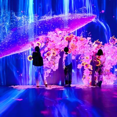 China Hotel Decoration 3d Holographic Interactive Wall Projection Software Projector for sale