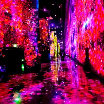 China Modern Luxury Immersive Interactive Wall / Floor Laser Projection For Exhibition for sale