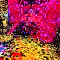 China 3d Indoor Immersive Projection For Ktv Bar Club Immersive Projection System for sale