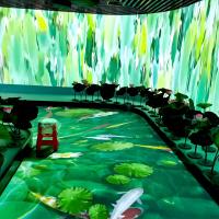China 3d Immersive Projector Create Immersive Virtual Environments Immersive Projection for sale